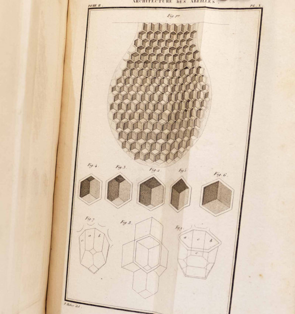 Nouvelles observations sur les abeilles par François Huber, Seconde ...